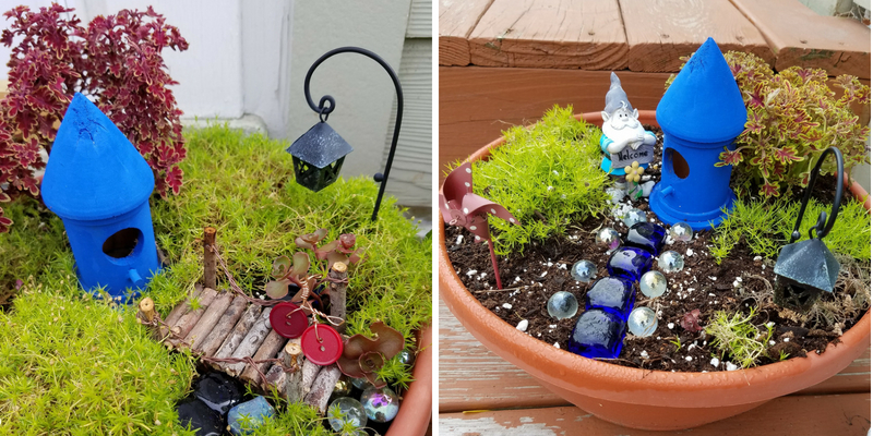 Plant a Wee Garden with a Theme - Tamara Horne